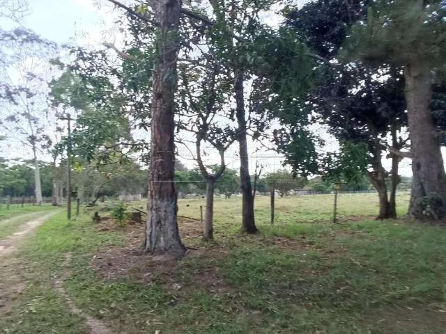 Fazenda para Venda em São Carlos/SP Loteamento Tutoya do Vale