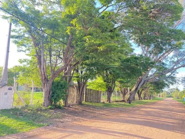 Fazenda para Venda em São Carlos/SP Vale Santa Felicidade