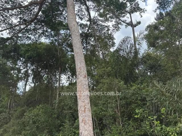 Fazenda para Venda em São Félix do Araguaia/MT Zona Rural