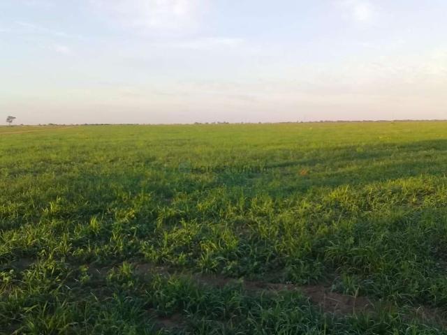 Fazenda para Venda em São Félix do Araguaia/MT Zona Rural 2 Quartos
