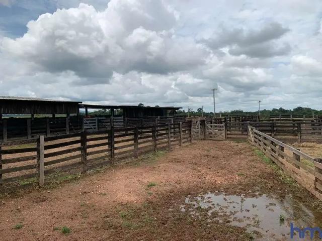 Fazenda para Venda em São Félix do Xingu/PA Zona Rural