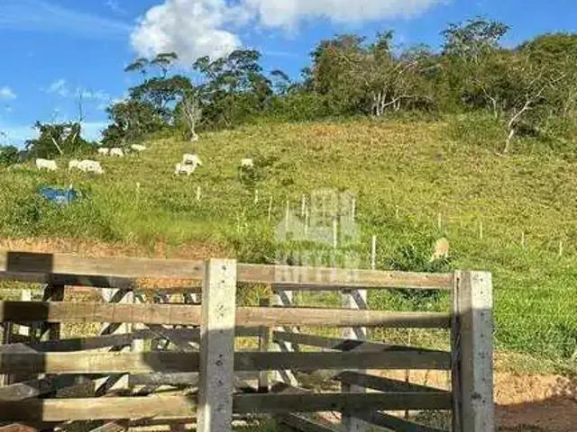 Fazenda para Venda em São Fidélis/RJ Zona Rural 2 Quartos