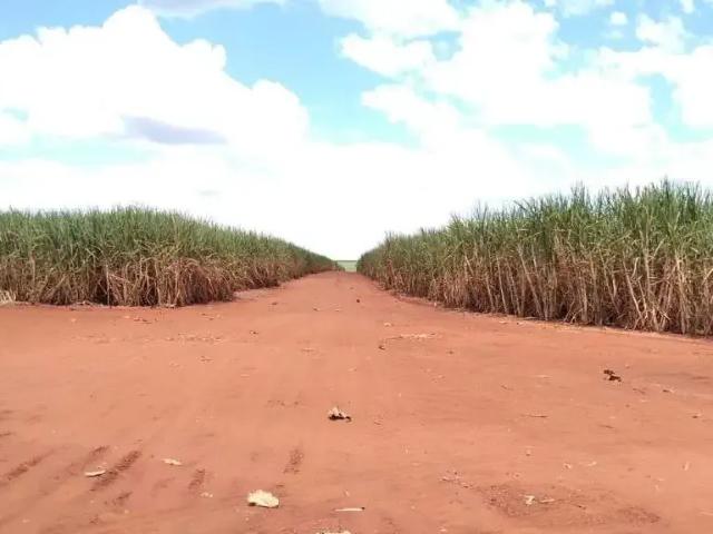 Fazenda para Venda em São Francisco de Sales/MG Zona Rural