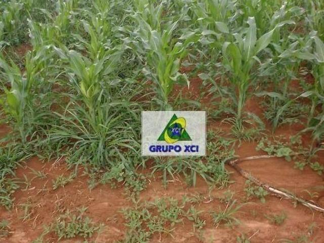 Fazenda para venda em São Gonçalo do Abaeté