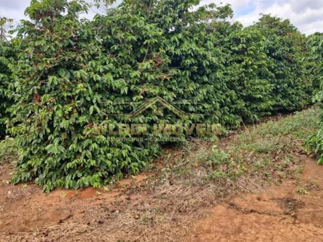 Fazenda para Venda em São Gonçalo do Sapucaí, 4 km da cidade
