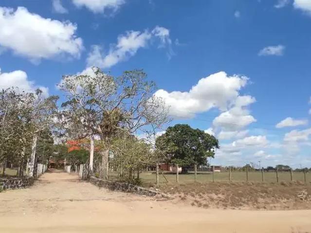Fazenda para Venda em São Gonçalo dos Campos/BA Mercês 4 Quartos