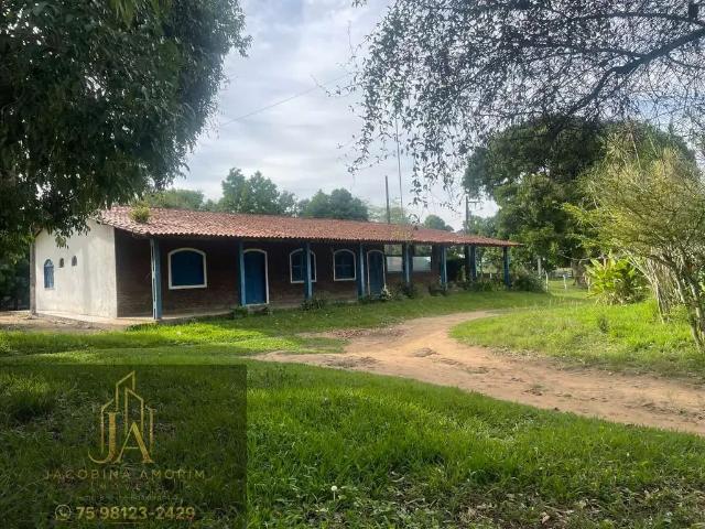 Fazenda para Venda em São Gonçalo dos Campos/BA Centro