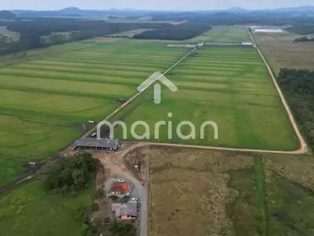 Fazenda para Venda em São João do Itaperiú/SC Zona Rural