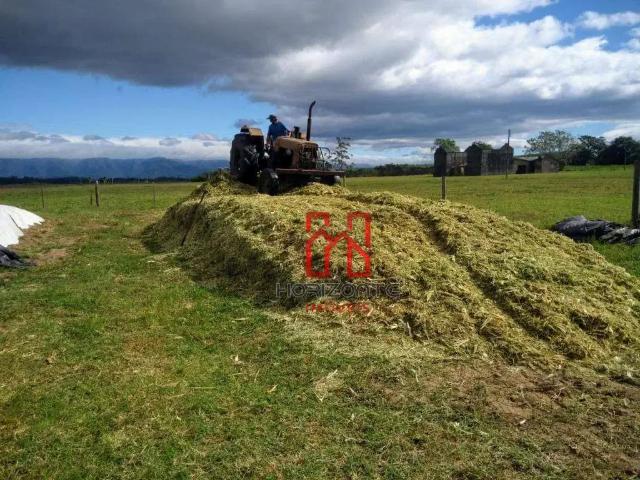 Fazenda para Venda em São João do Sul/SC Três Coqueiros 3 Quartos