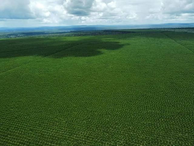 Fazenda para Venda em São João do Paraíso/MG Zona Rural