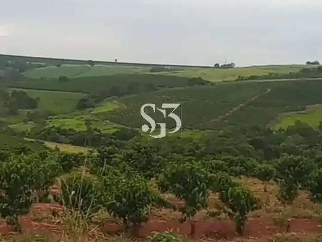 Fazenda para Venda em São João da Boa Vista/SP Centro