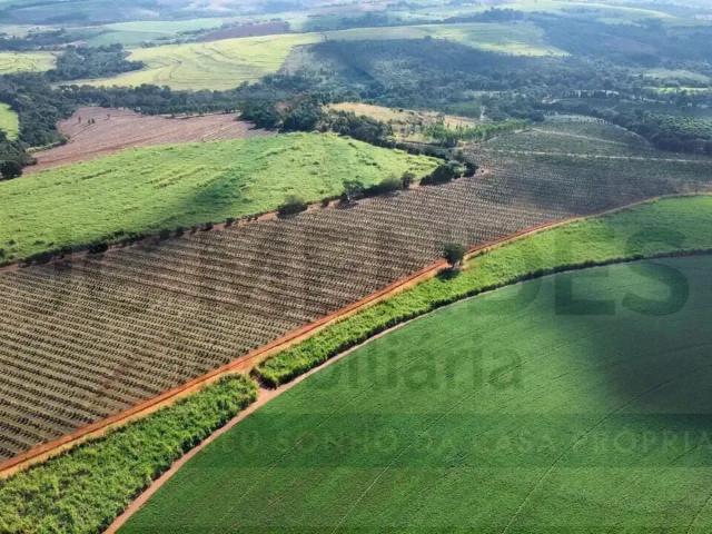 Fazenda para Venda em São João da Boa Vista/SP Centro