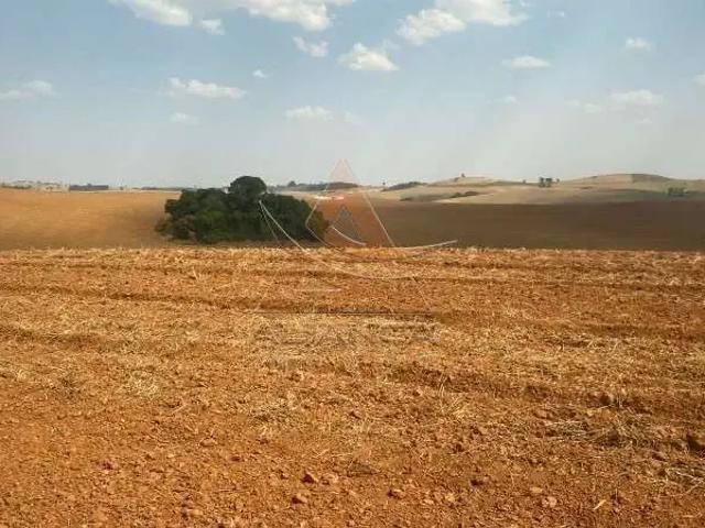 Fazenda para Venda em São João da Mata/MG Zona Rural 1 Quartos