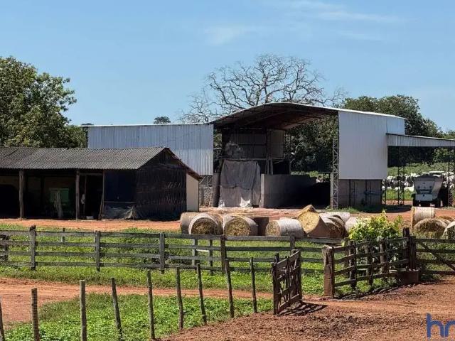 Fazenda para Venda em São João D'Aliança/GO Zona Rural