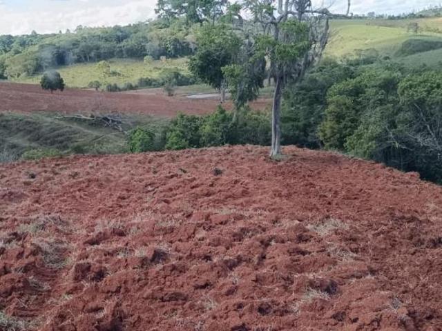 Fazenda para venda em São João Del Rei
