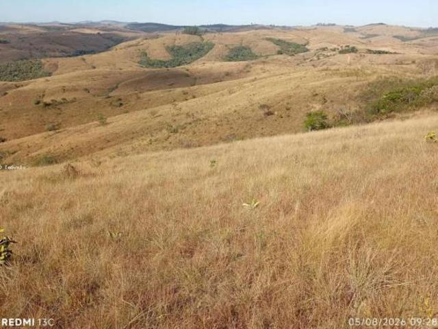 Fazenda para venda em São João Del Rei