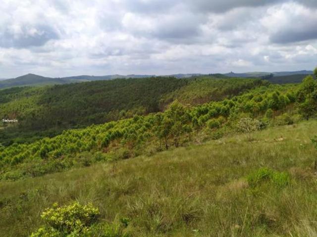 Fazenda para venda em São João Del Rei