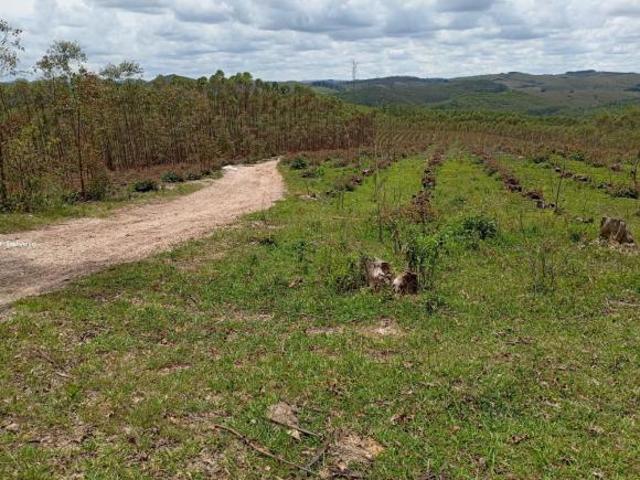Fazenda para venda em São João Del Rei