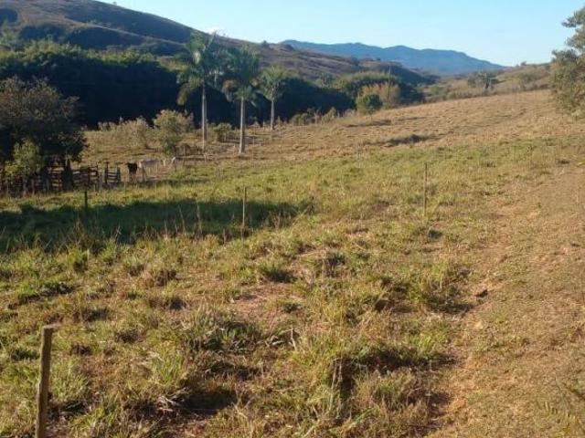 Fazenda para venda em São João Del Rei