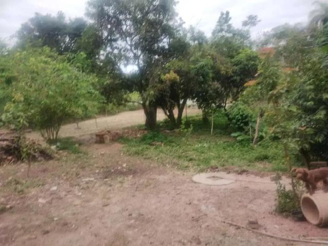 Fazenda para Venda em São Joaquim de Bicas/MG Centro