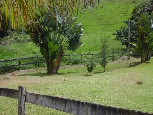 Fazenda para Venda em São José do Calçado/ES Centro