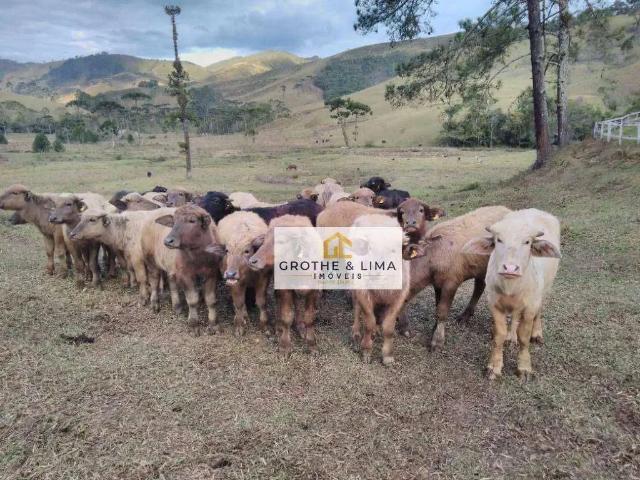 Fazenda para Venda em São José do Barreiro/SP Centro 3 Quartos
