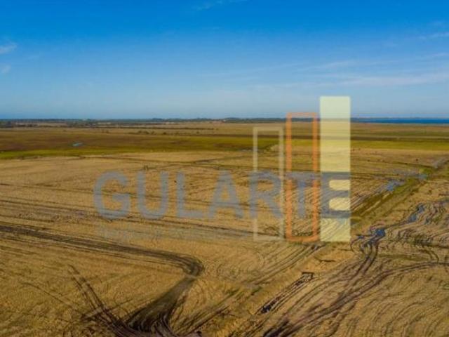 Fazenda para venda em São José do Norte