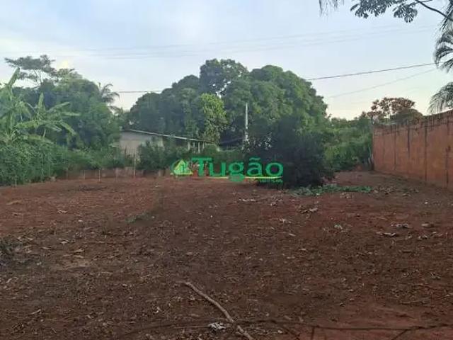 Fazenda para Venda em São José do Rio Preto/SP Estância São Judas Tadeu Zona Rural
