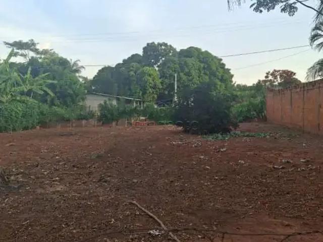 Fazenda para Venda em São José do Rio Preto/SP Estância São Judas Tadeu Zona Rural