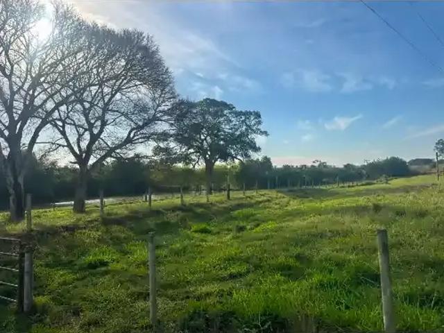 Fazenda para Venda em São José do Rio Preto/SP Fazenda Rio Preto