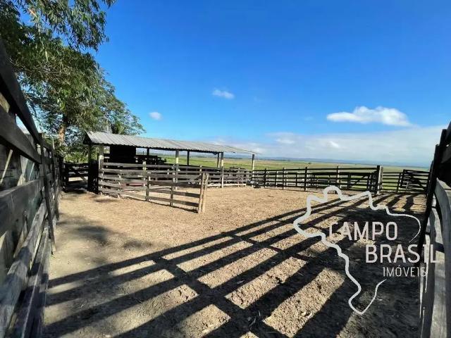 Fazenda para Venda em São José dos Campos/SP Área Rural de São José dos Campos 3 Quartos
