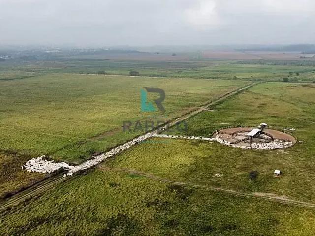 Fazenda para Venda em São José dos Campos/SP Centro