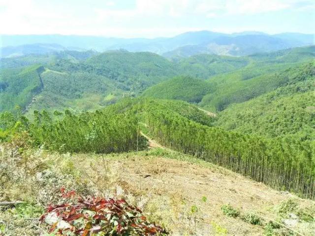 Fazenda para Venda em São José dos Campos/SP São Francisco Xavier