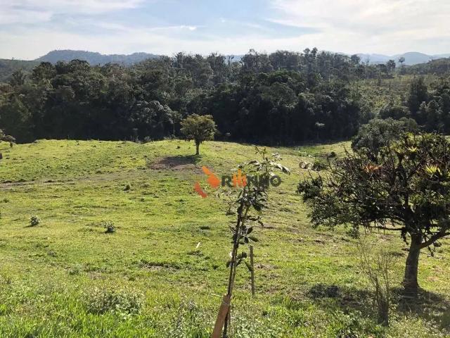 Fazenda para Venda em São José dos Pinhais/PR Campo Largo da Roseira