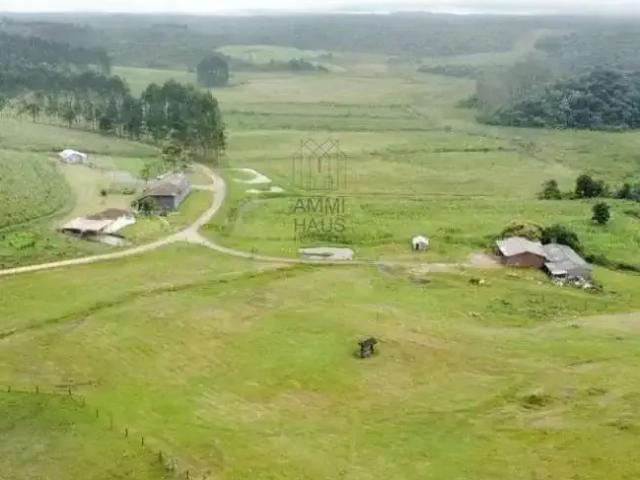 Fazenda para Venda em São José dos Pinhais/PR Colônia Murici 4 Quartos