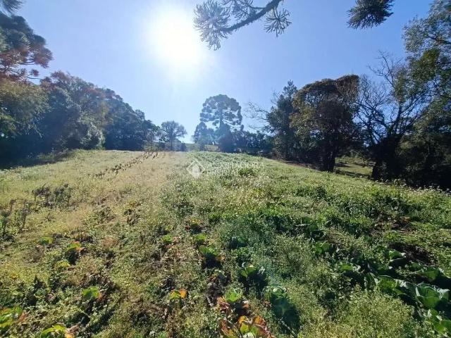 Fazenda para Venda em São José dos Pinhais/PR Colônia Murici