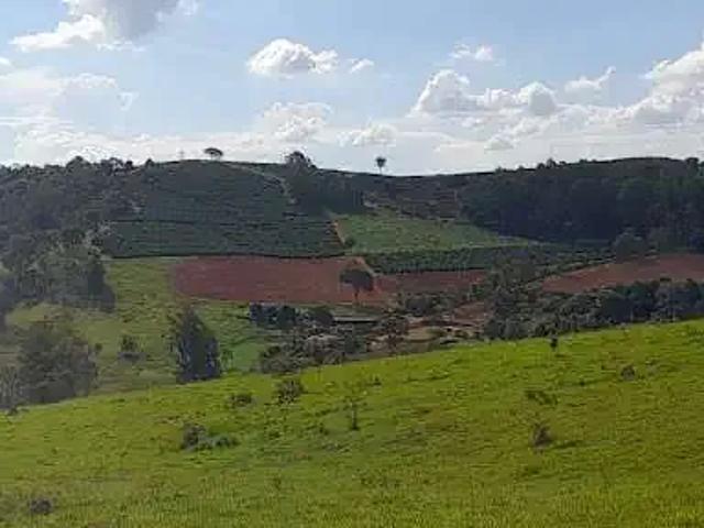Fazenda para Venda em São José da Barra/MG Zona Rural 4 Quartos