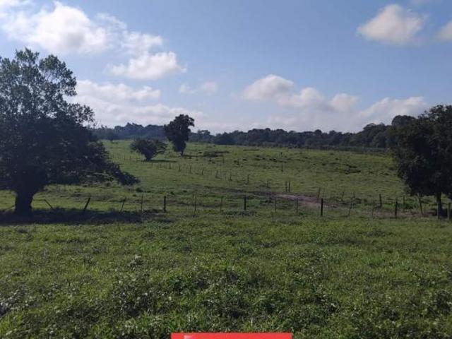 Fazenda para Venda em São Paulo