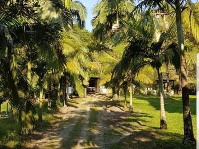 Fazenda para Venda em São Paulo/SP Nossa Senhora do Ó 3 Quartos