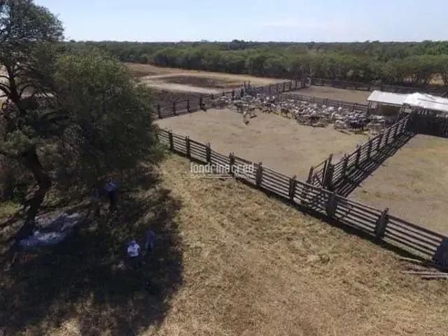 Fazenda para Venda em São Paulo/SP Zona Rural