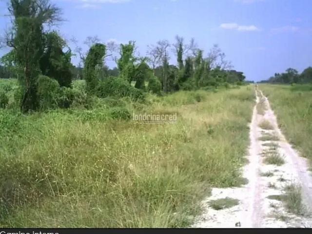 Fazenda para Venda em São Paulo/SP Zona Rural