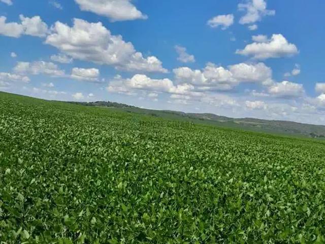 Fazenda para Venda em São Paulo/SP Zona Rural 3 Quartos