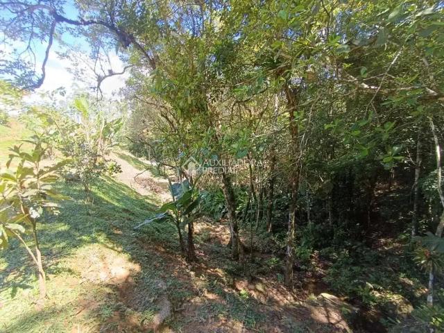Fazenda para Venda em São Pedro de Alcântara/SC Barro Branco