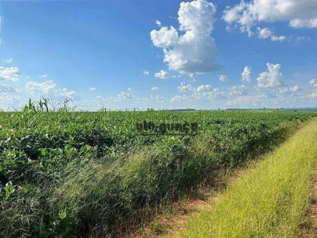 Fazenda para Venda em São Pedro do Turvo/SP Zona Rural