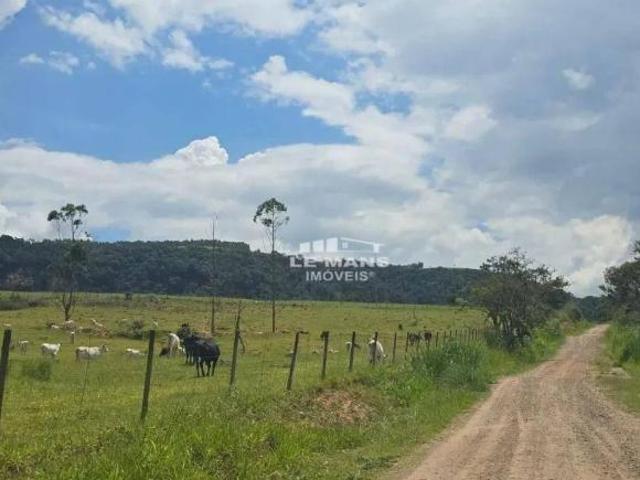 Fazenda para venda em São Pedro