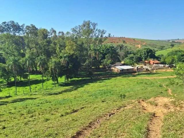 Fazenda para Venda em São Roque de Minas/MG Zona Rural