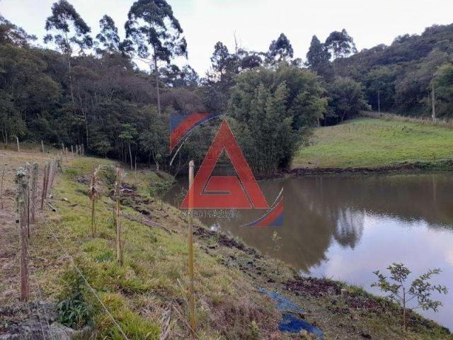 Fazenda para Venda em São Roque/SP Alto Da Serra Mailasqui