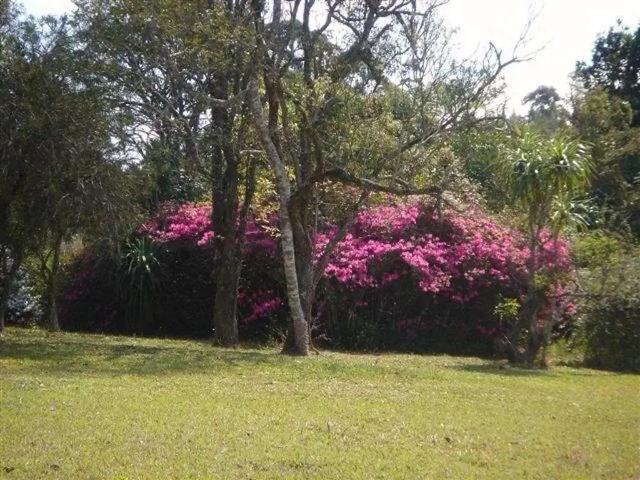 Fazenda para Venda em São Roque/SP Volta Grande São João Novo 6 Quartos