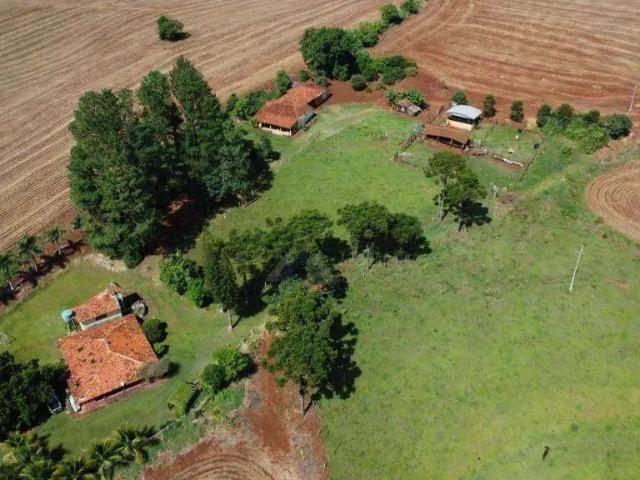 Fazenda para Venda em São Sebastião da Amoreira/PR Zona Rural 3 Quartos