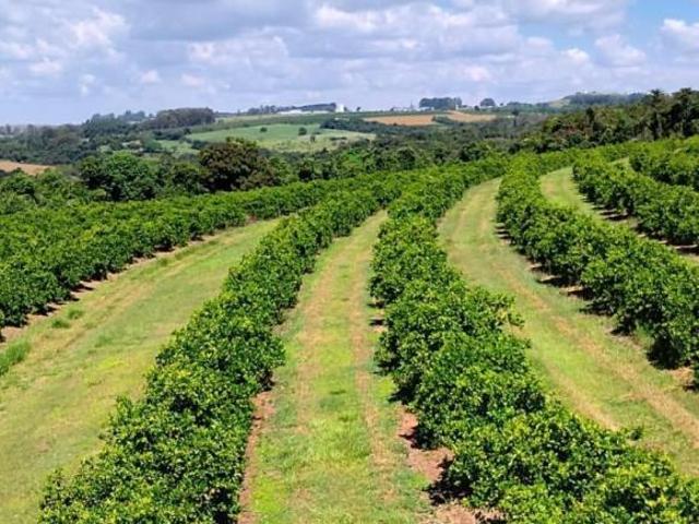 Fazenda para Venda em São Sebastião do Paraíso, RURAL